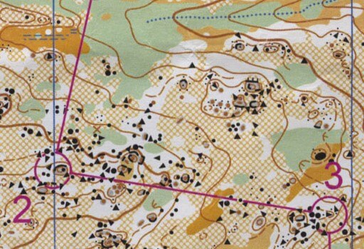 What is Orienteering - Orienteering USA