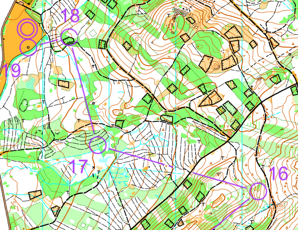 News - Orienteering USA